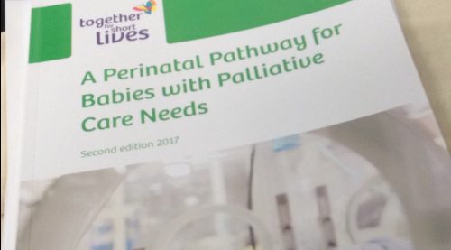 Perinatal Pathway for Babies with Palliative Care Needs – National ...
